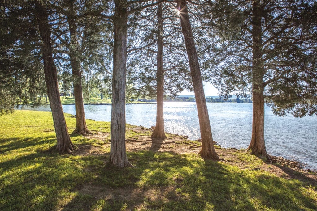 Government Services | Choose Chattanooga®