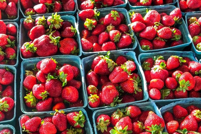 Farm Fresh: Four Chattanooga Farmers Markets | Choose Chattanooga®
