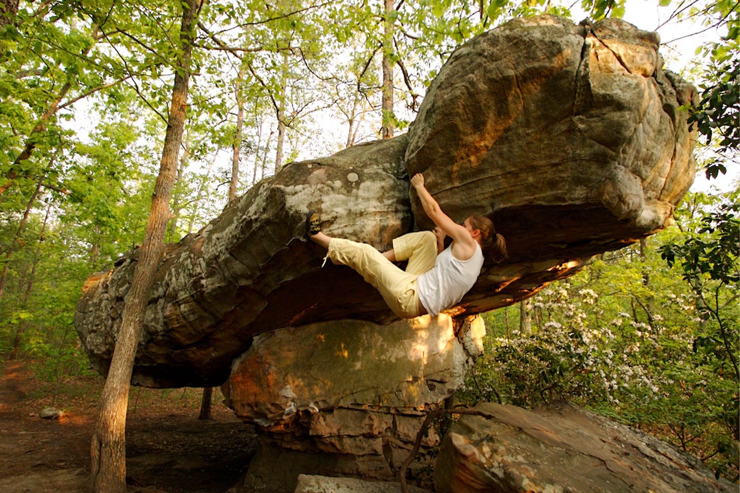 Rock Climbing in Chattanooga | Choose Chattanooga®