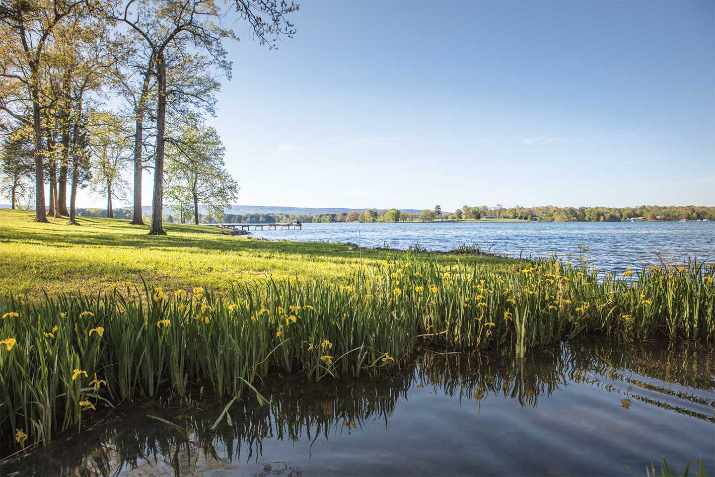 Go Fish: The Chattanooga Area’s Top Fishing Spots | Choose Chattanooga®