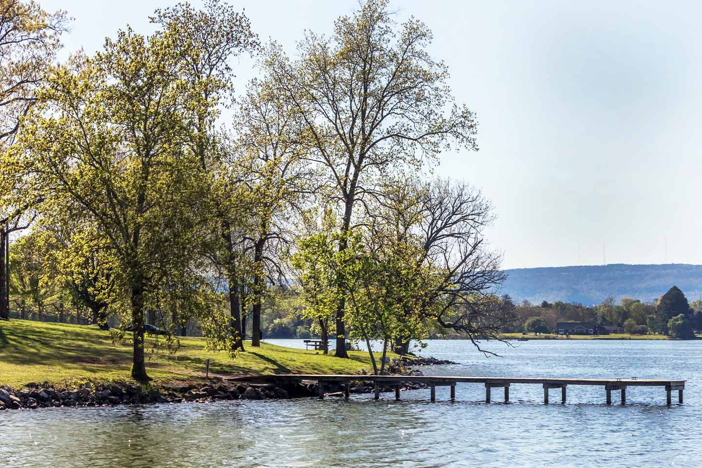 The Best of Chattanooga Birding | Choose Chattanooga®