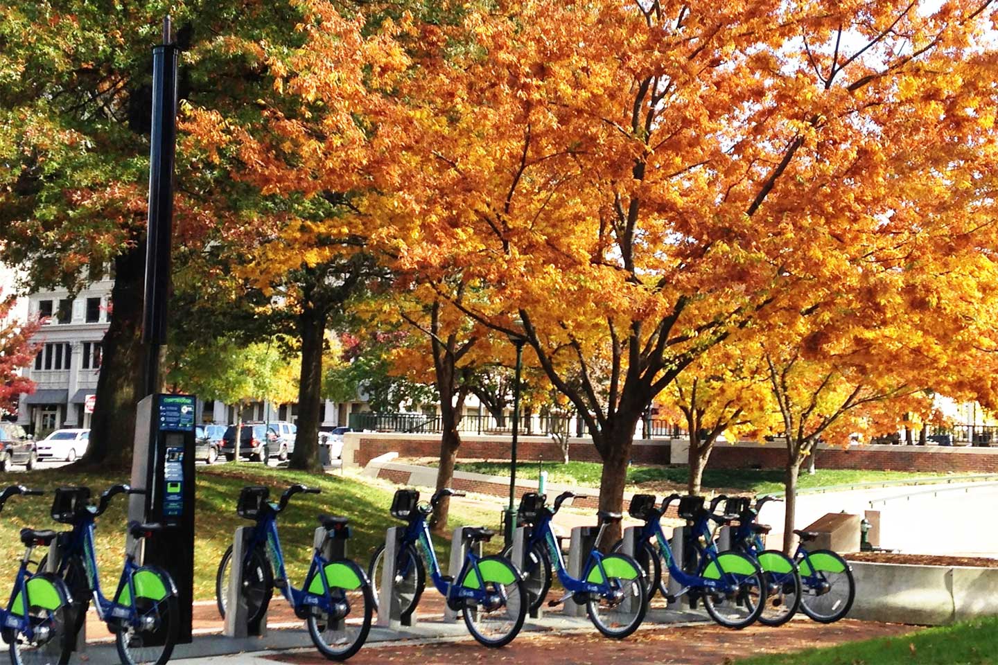 Fall Leaves in Chattanooga: 10 Ways to Experience Autumn Colors ...