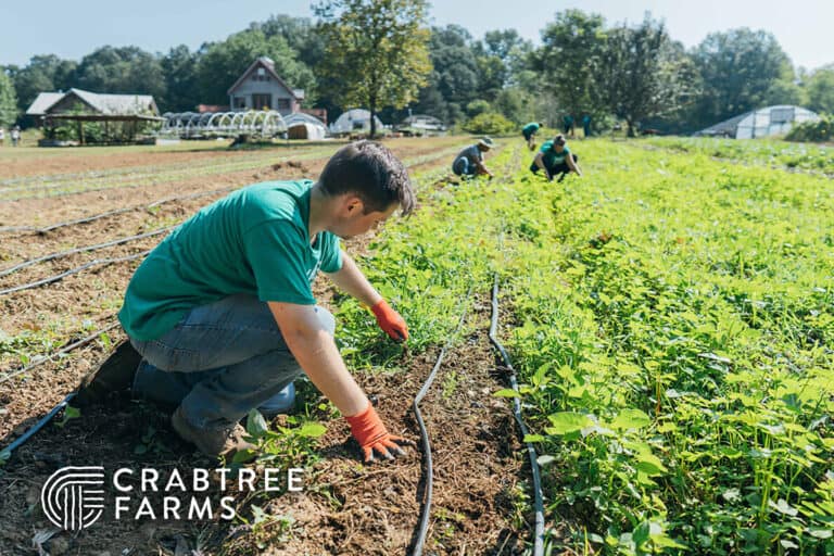 Top Places to Volunteer in Chattanooga and Give Back Locally