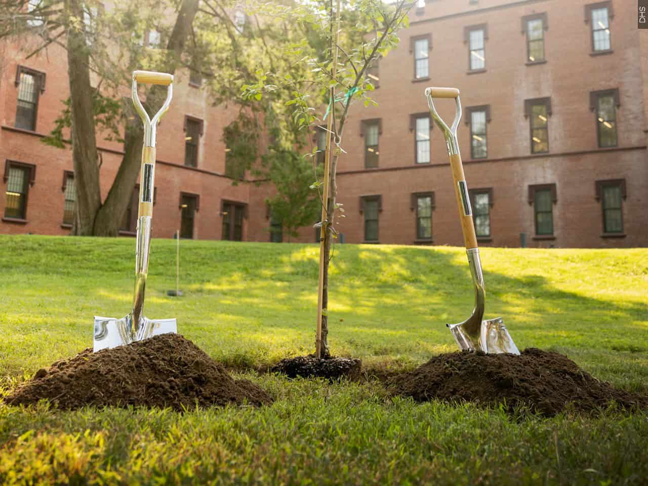 Tree Planting Ride with Rotary Tree Towns | Choose Chattanooga®