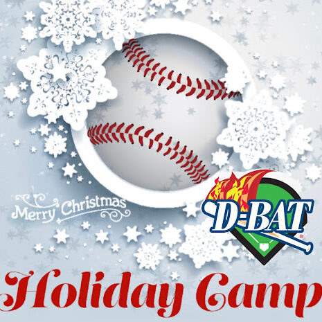 DBat Baseball & Softball Holiday Camp | Choose Chattanooga®